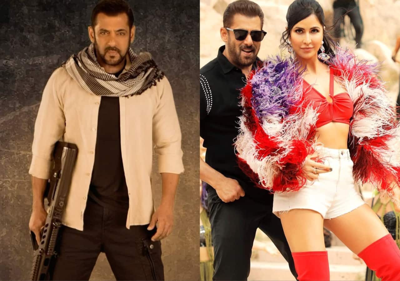 Salman Khan film Tiger 3 Collection in North America- नॉर्थ अमेरिका में ...