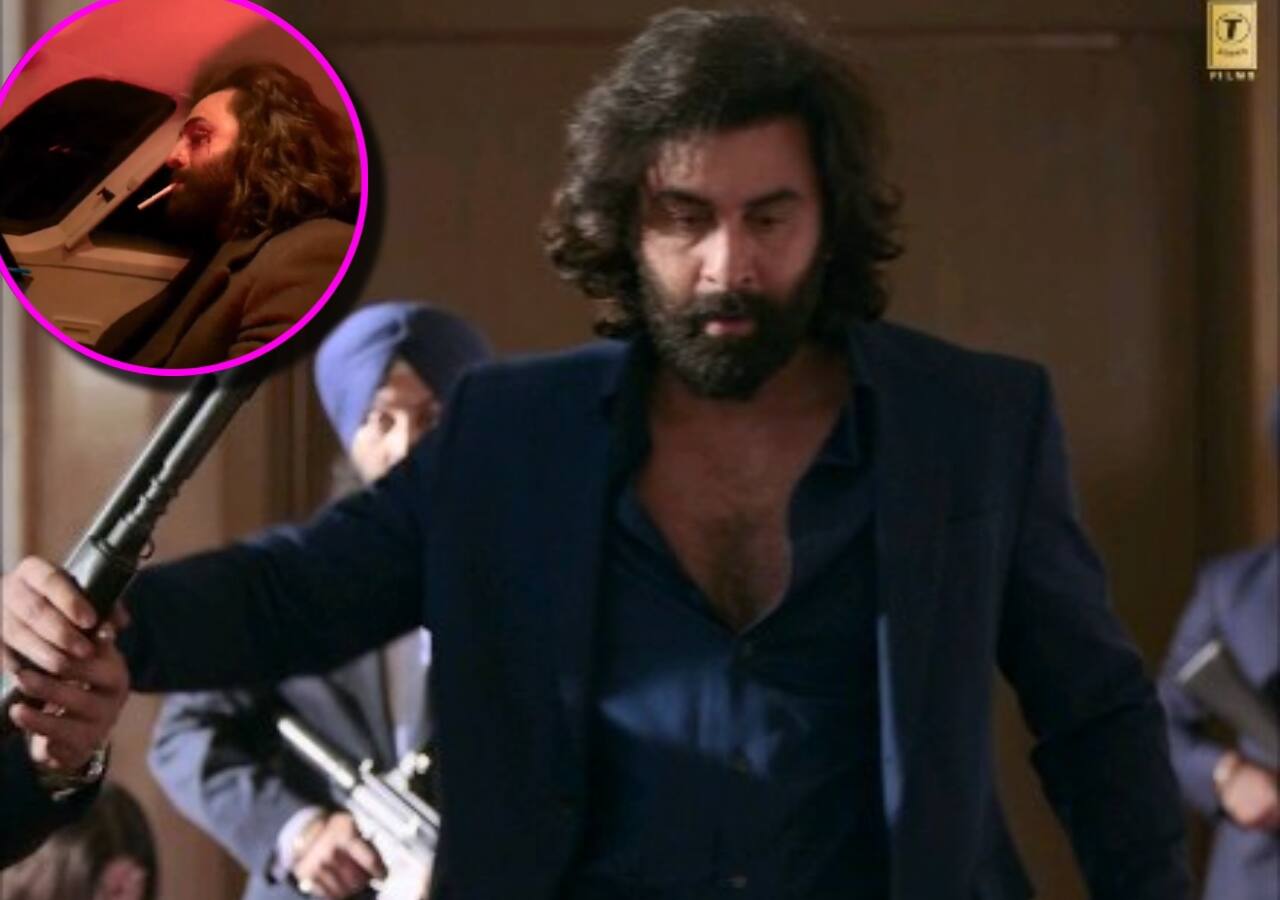 Animal deleted scene goes viral, Ranbir Kapoor fans goes crazy : लीक ...