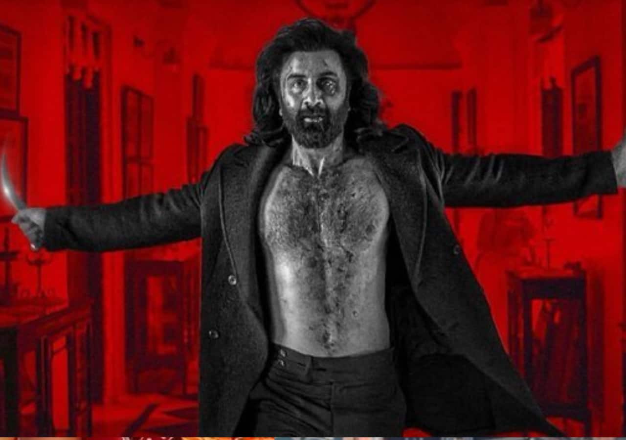 Animal box office collection day 4: Ranbir Kapoor film registers ...