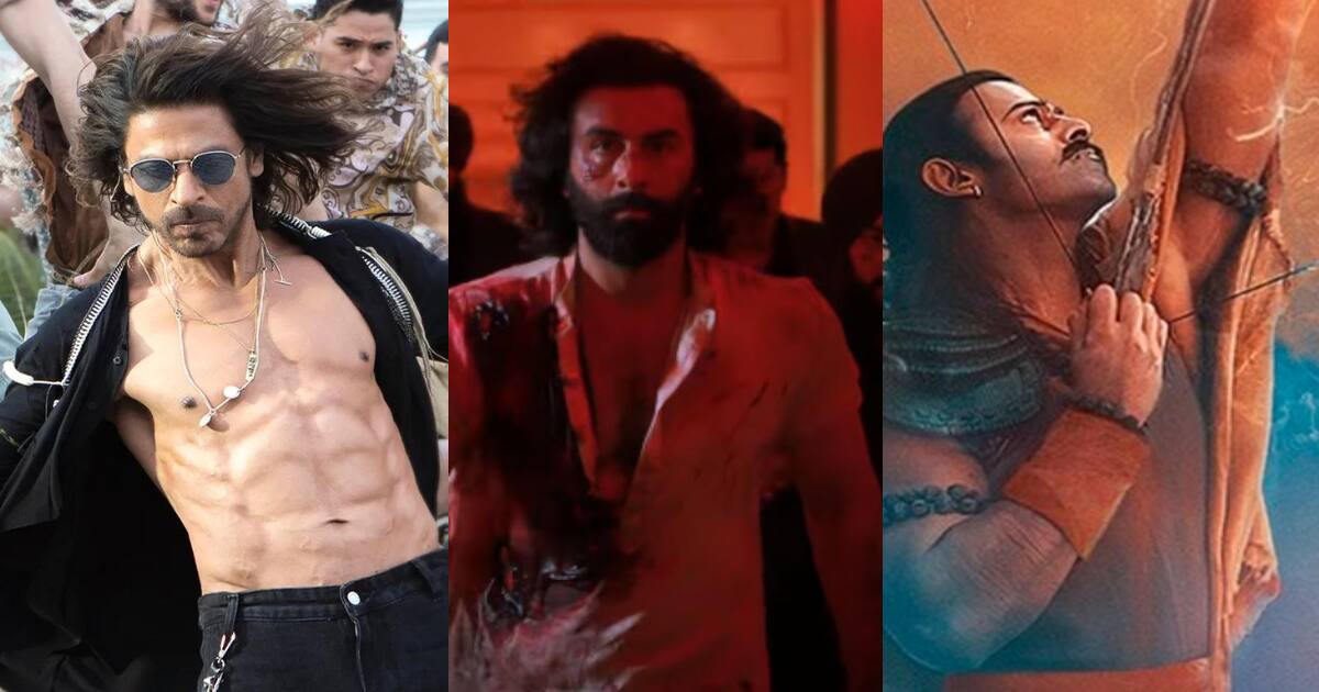 Animal box office collection day 2: Ranbir Kapoor, Bobby Deol new movie ...
