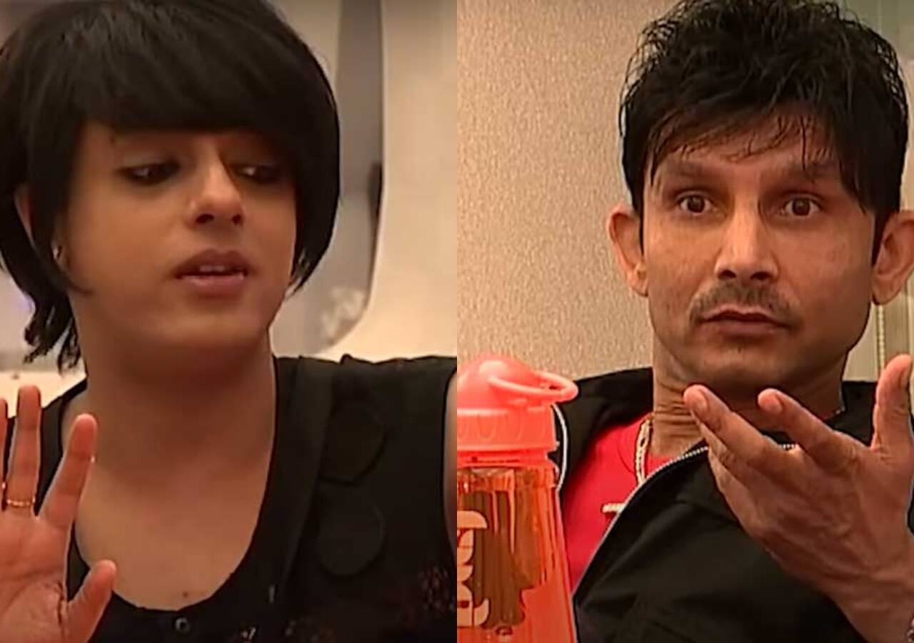 Tehelka aka Sunny Arya to Madhurima Tuli, Bigg Boss contestants who ...