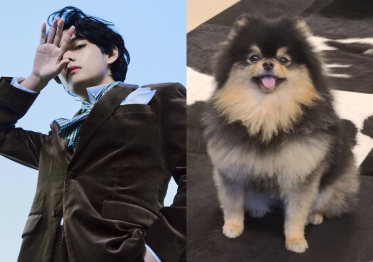 Yeontan Of BTS leaves ARMY in splits! Here's why Kim Taehyung's beloved pooch is making news in ...