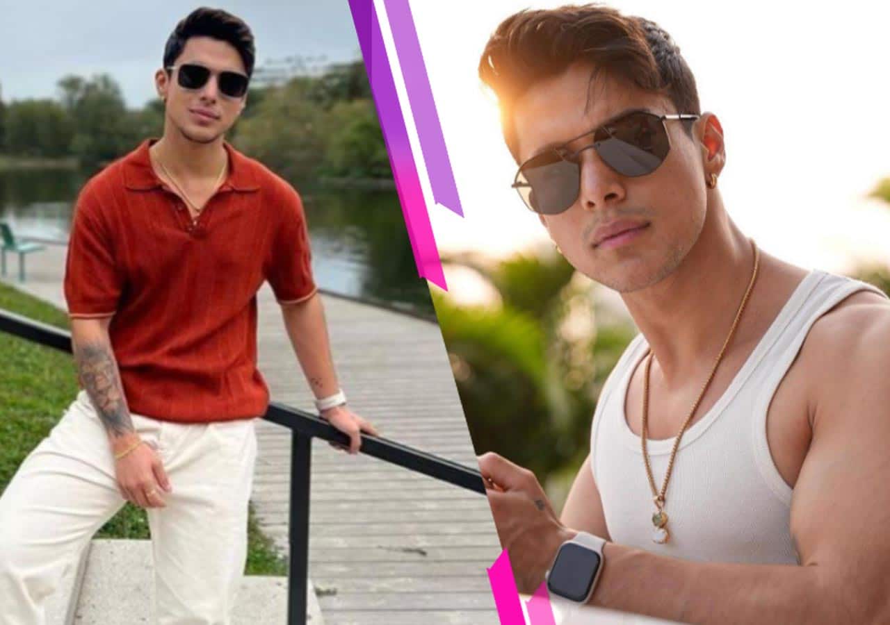 New Year 2024: Naagin 6 actor Pratik Sehajpal opens up about living in ...
