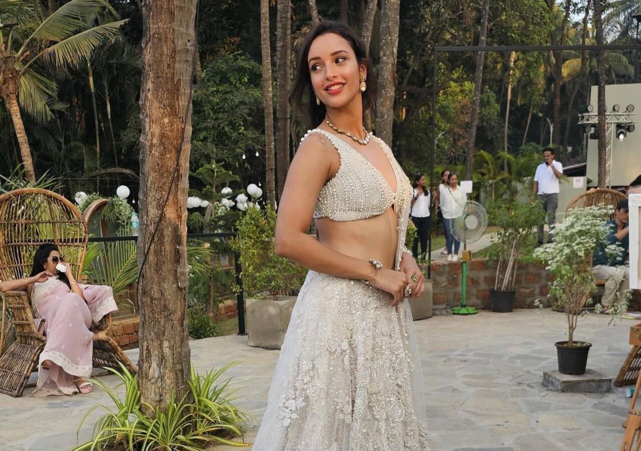 Tripti Dimri new look wreaked havoc, fans showered love on the animal actress's pictures ...