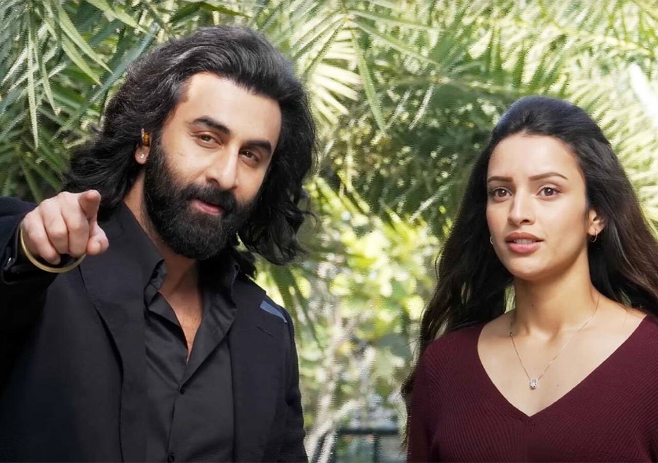 Triptii Dimri followers increased by More Than 320 percent After the ...