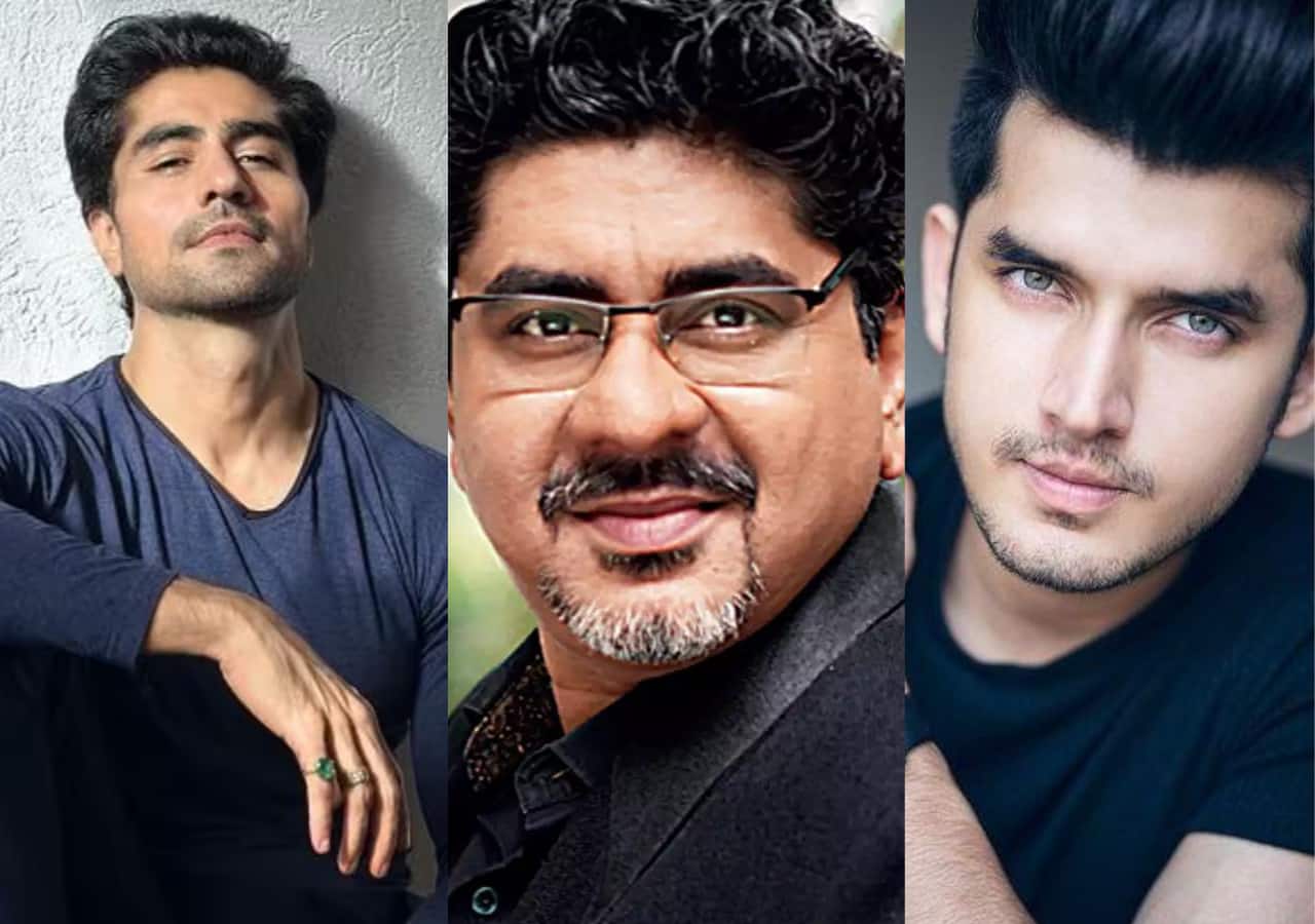 Harshad Chopda, Paras Kalnawat, Ritvik Arora: Actors whose relationship ...