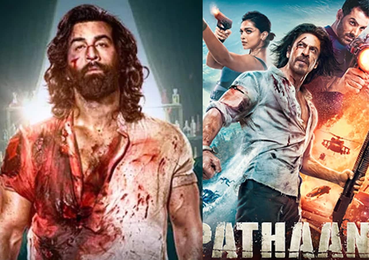 Animal Box Office Collection Day 17: Ranbir Kapoor starrer defeats ...