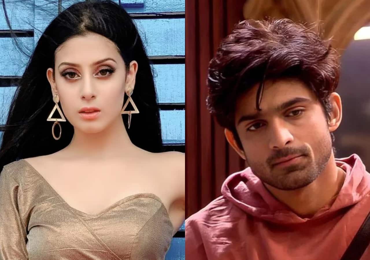Bigg Boss 17 Isha Malviya Lied About Abhishek Kumar Hitting Her On New