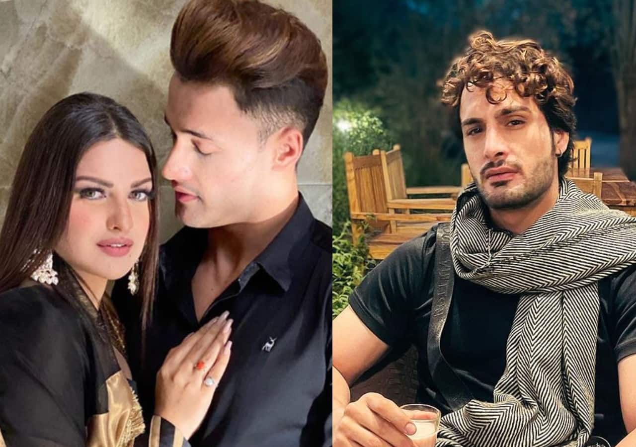 Umar Riaz speaks on the breakup of Asim Riaz and Himanshi Khurana ...