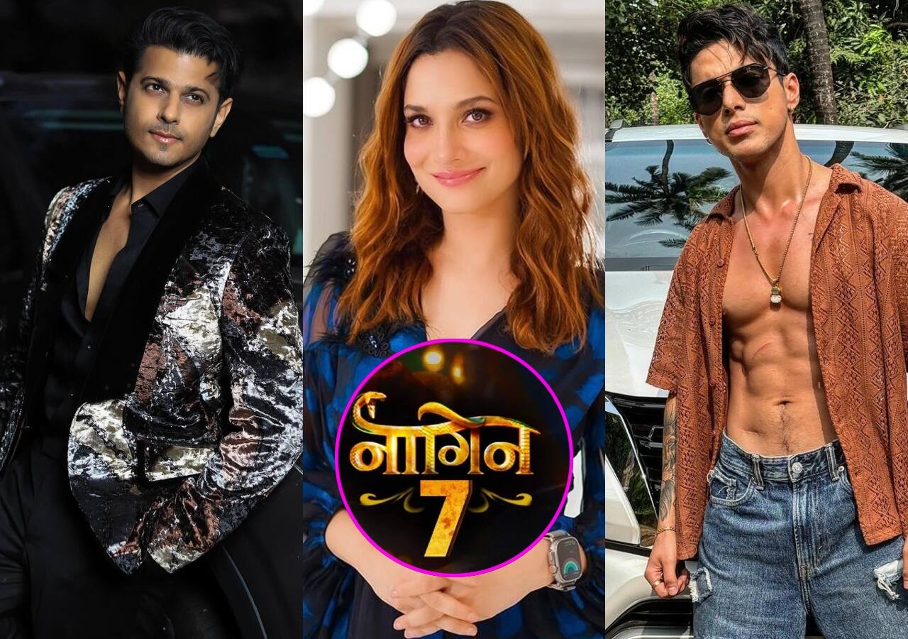 these 9 TV Actors Perfect For Naagin 7 - नागिन 7 में लीड रोल के लिए ...
