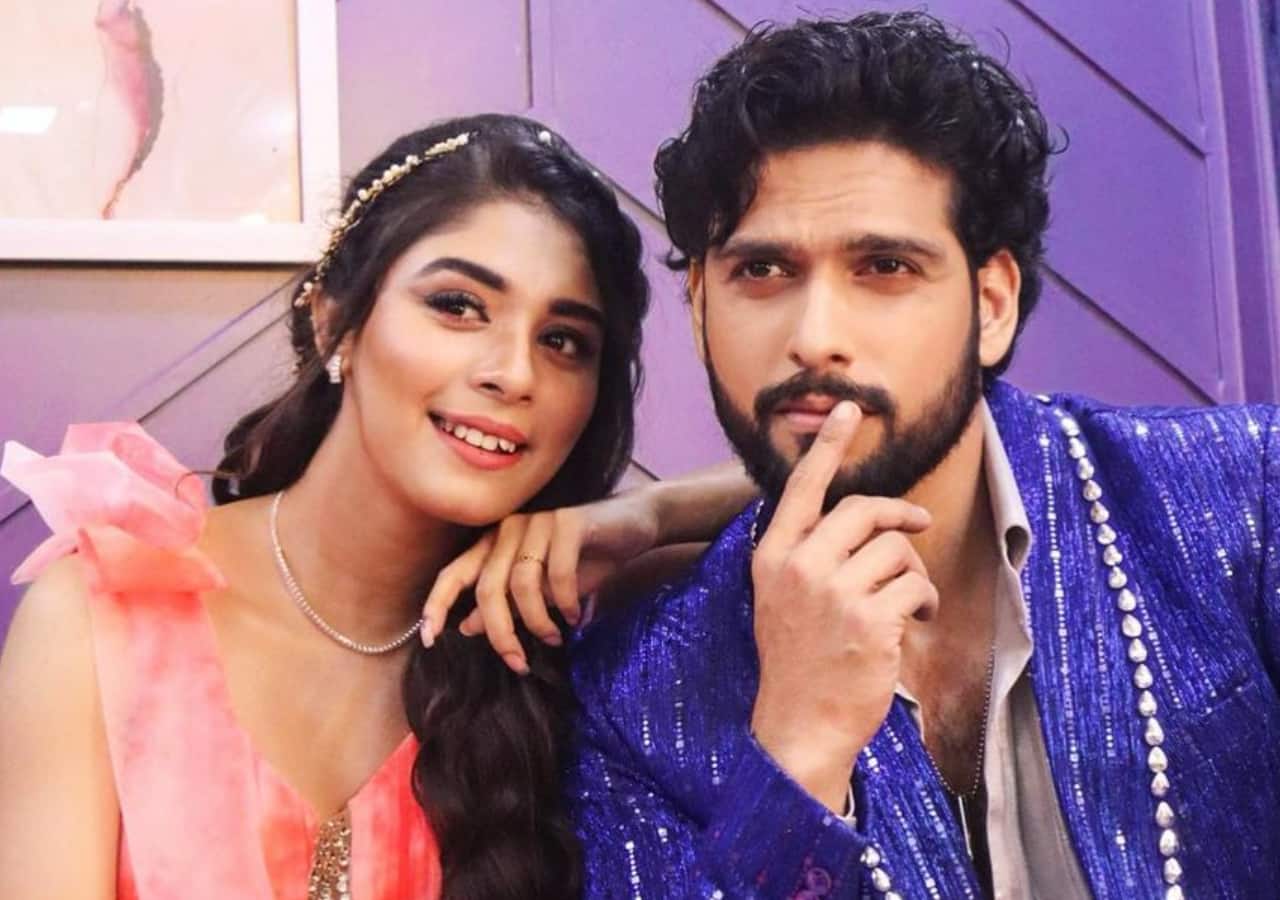 Imlie: Adrija Roy reveals if Sai Ketan Rao aka Agastya is quitting the ...