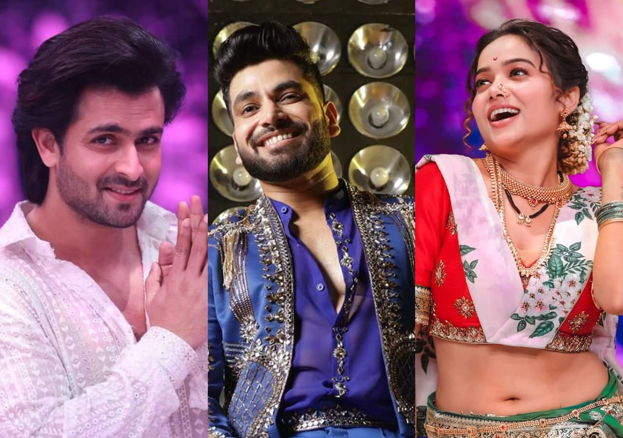 Jhalak Dikhhla Jaa 11: Did Shoaib Ibrahim, Manisha Rani defeat Shiv ...