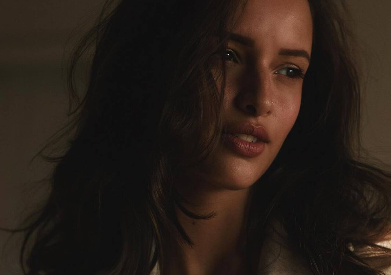 Animal star Tripti Dimri's bold photoshoots go viral as she goes ...