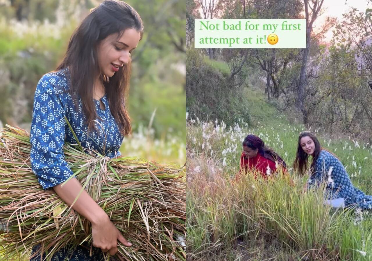 Animal star Tripti Dimri hometown is in Chamoli in Uttarakhand ...