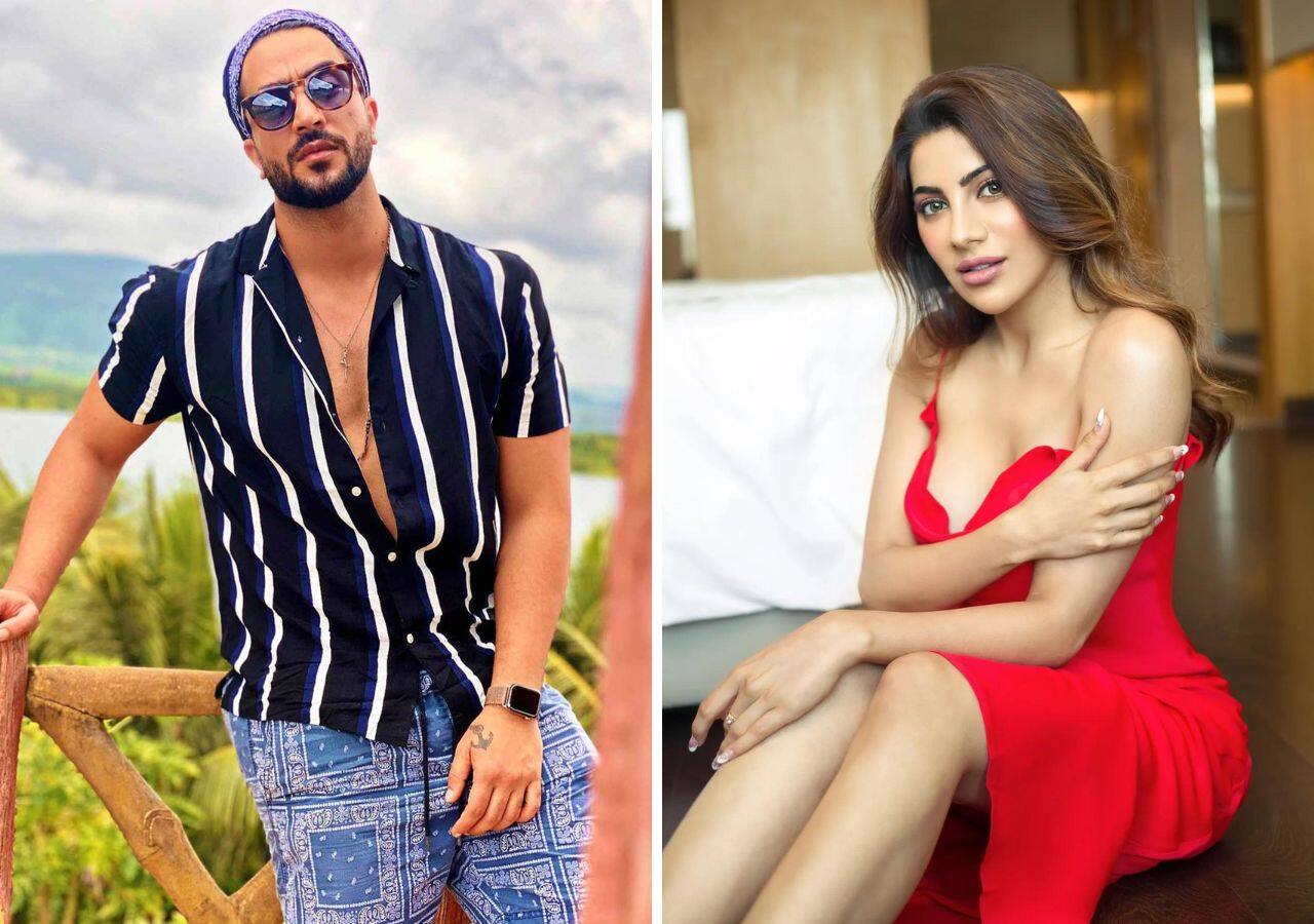 Aly Goni, Nikki Tamboli take a dig at Bigg Boss 17 success party; here's how netizens reacted