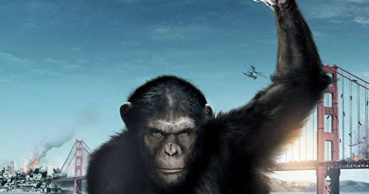 Top 12 movies about man-made disasters on Prime Video, Hotstar and ...