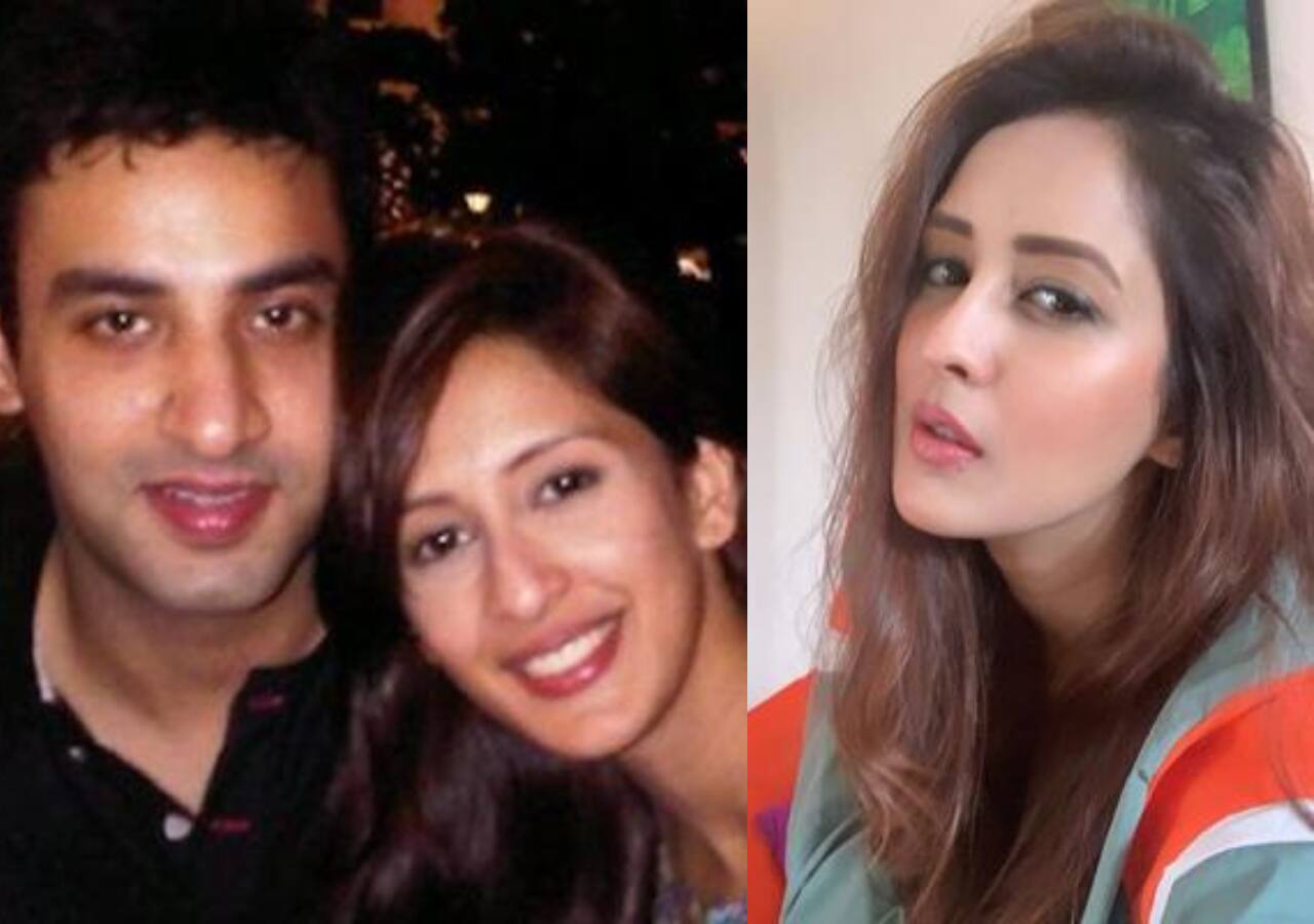 Nitish Bharadwaj-Smita Gate, Shweta Tiwari-Raja Chaudhary and others: TV marriages that ended on ...