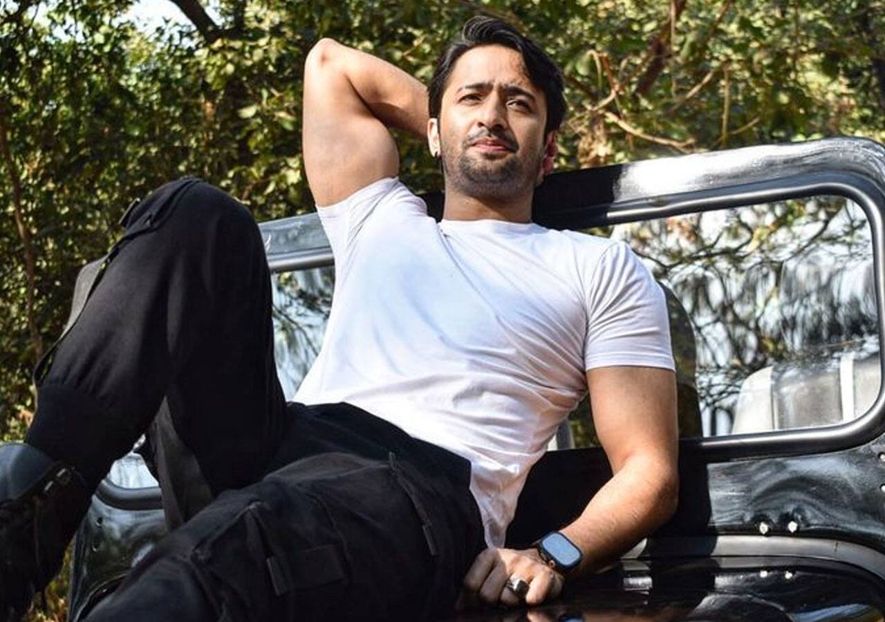 Shweta Tiwari to Nia Sharma: TV celebs who opened up on their struggling phase after tasting success