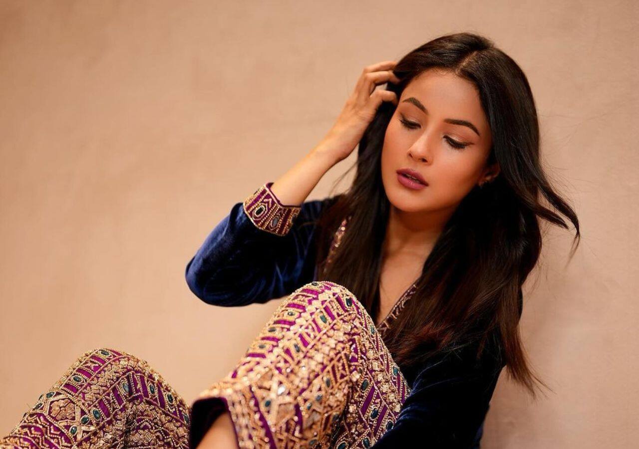 Shehnaaz Gill charms in peacock blue velvet suit with ornate pants ...