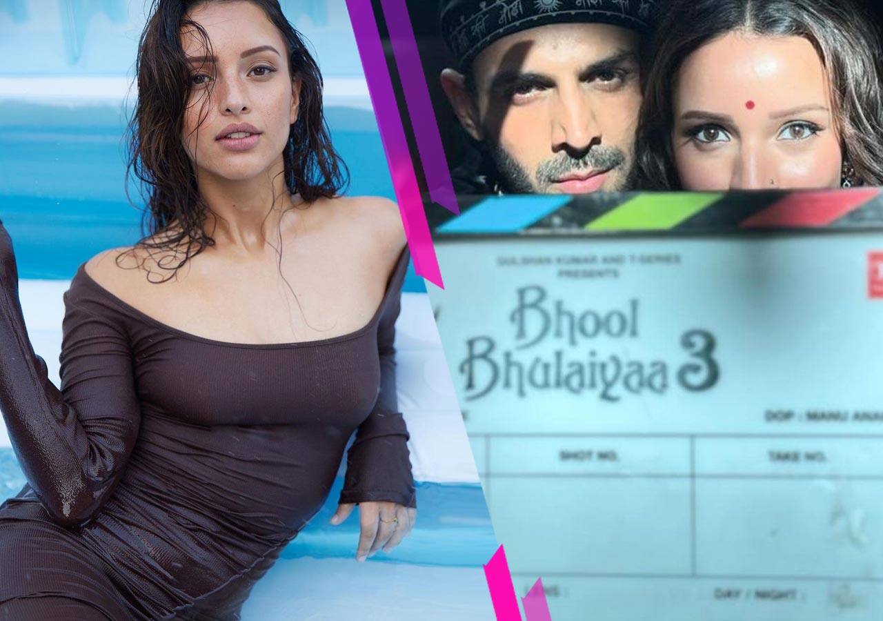 Bhool Bhulaiyaa 3 star Triptii Dimri top 10 looks will leave you ...