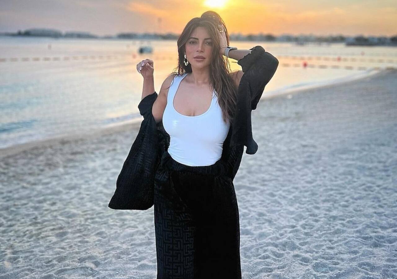 Shama Sikander Gave Killer Pose in Bold Dress, View Photos - शमा सिकंदर ने दिखाया अपना सबसे ...