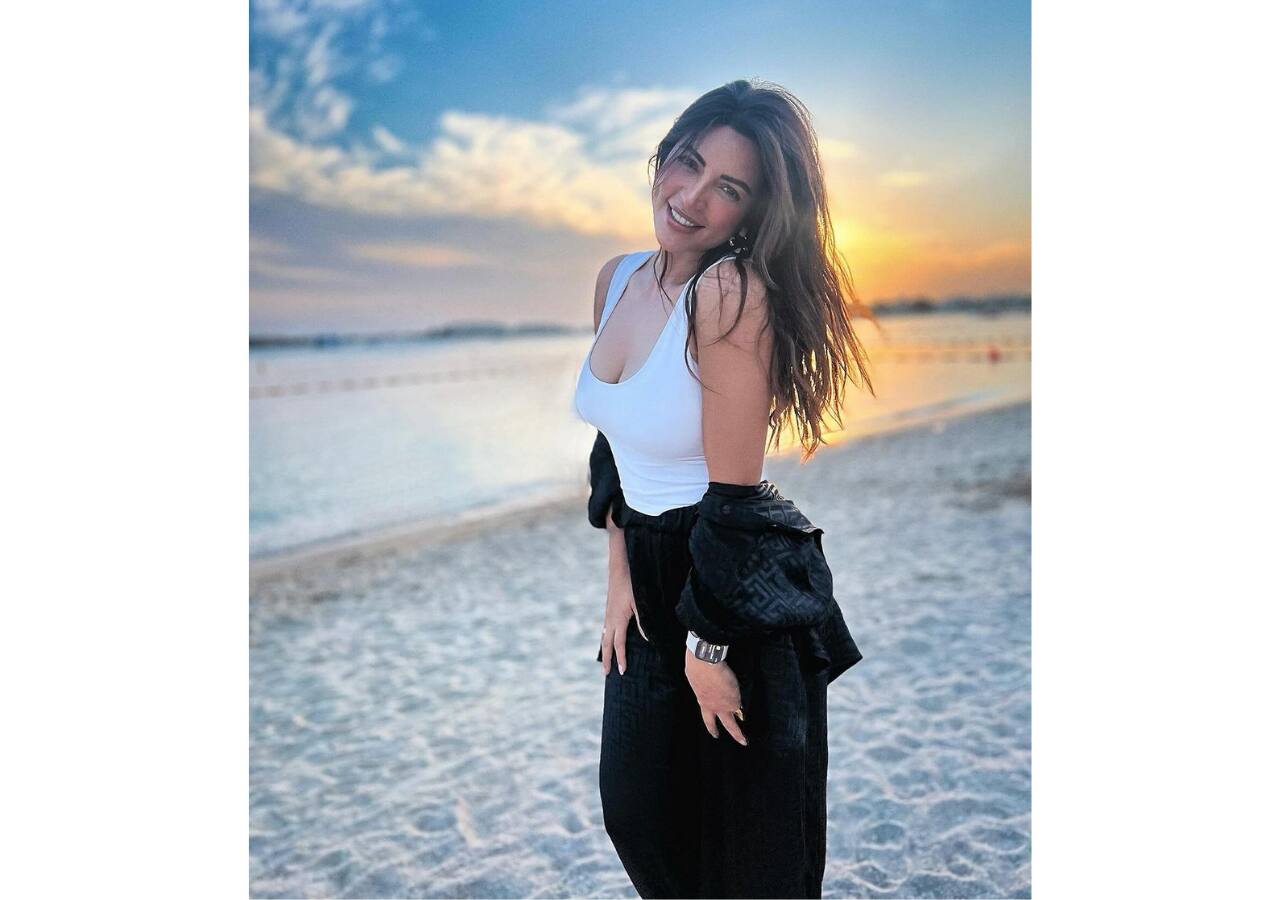 Shama Sikander Gave Killer Pose in Bold Dress, View Photos - शमा सिकंदर ने दिखाया अपना सबसे ...