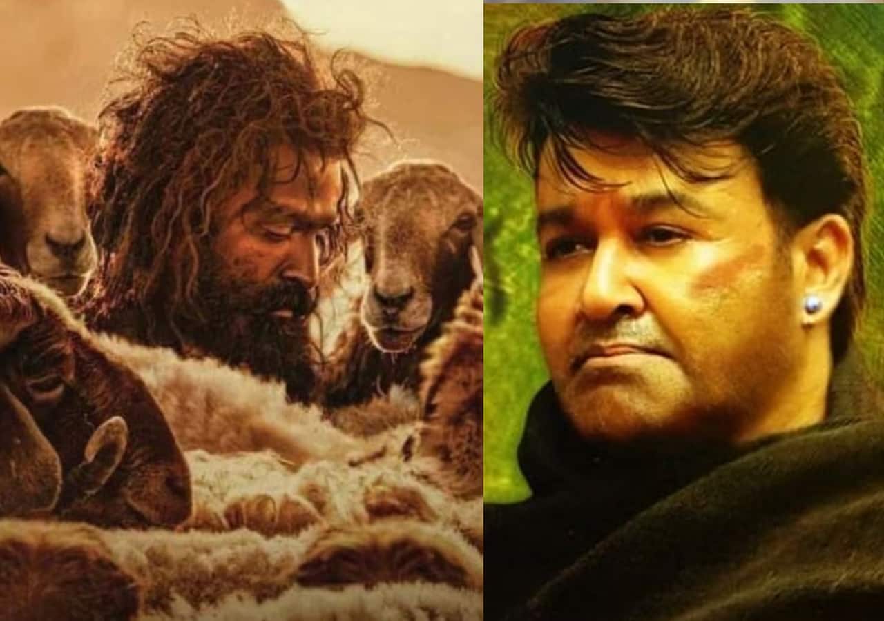 Aadujeevitham - The Goat Life Box Office Collection Day 2 Early ...