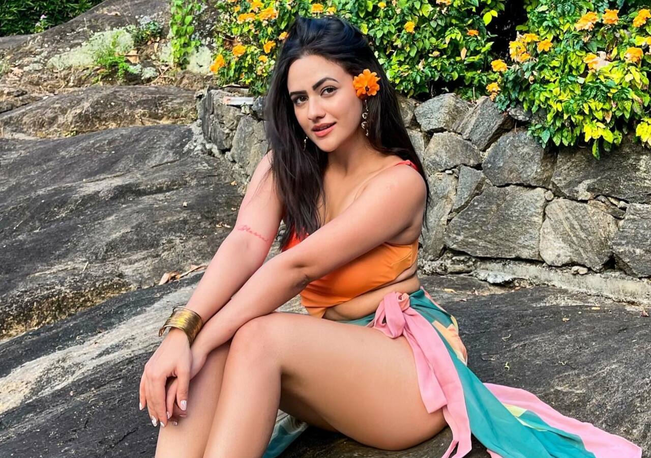 Aahna Sharma bold look will give you goosebumps- आहना शर्मा ने शेयर कीं बोल्ड तस्वीरें, घायल हुए ...