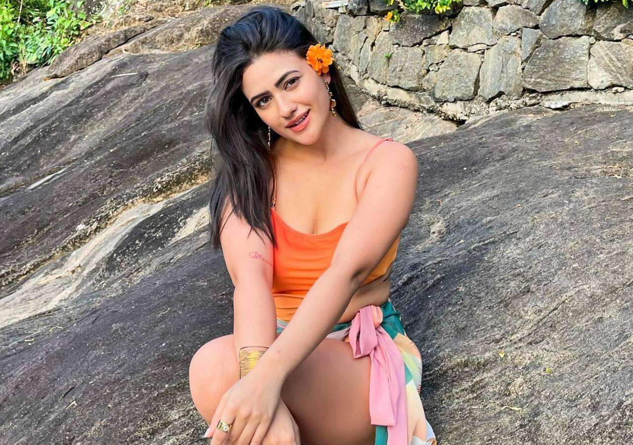 Aahna Sharma bold look will give you goosebumps- आहना शर्मा ने शेयर कीं बोल्ड तस्वीरें, घायल हुए ...