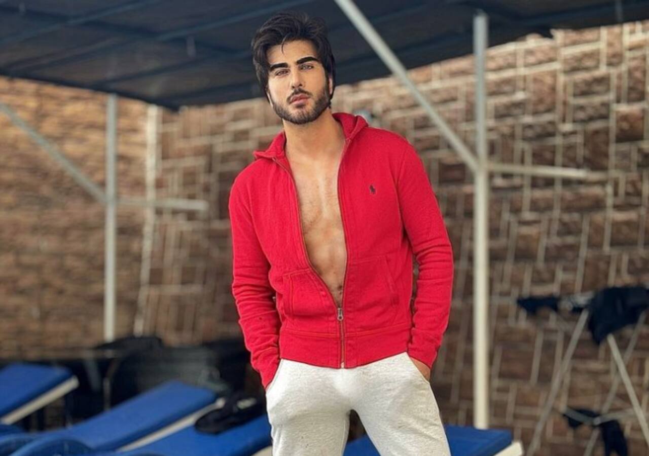 Heeramandi: Pakistani actor Imran Abbas was offered a role in Sanjay ...