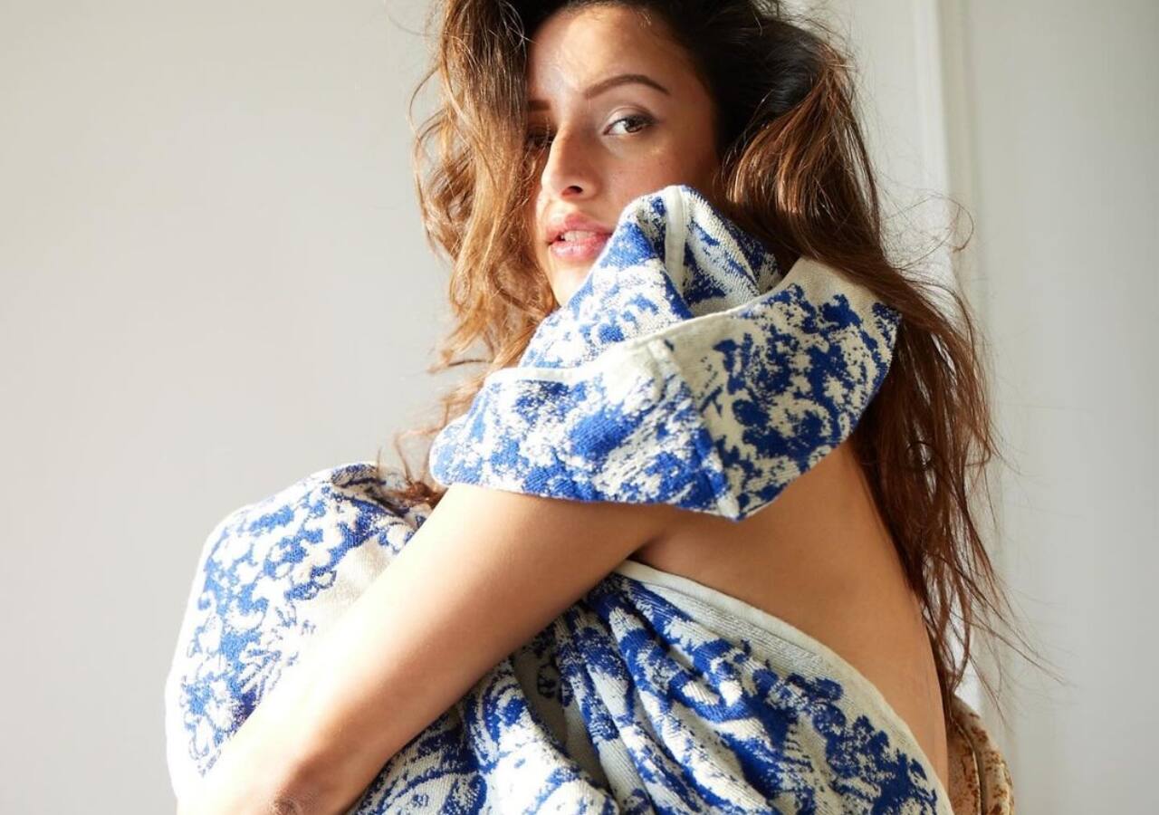 Tripti Dimri bold photoshoot goes viral: 'भूल भुलैया 3' स्टार तृप्ति ...