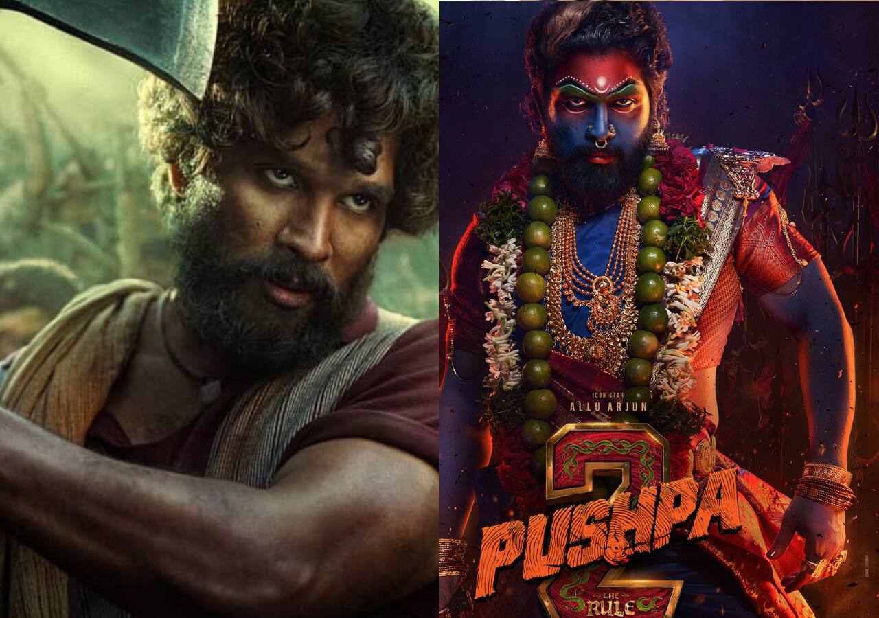Pushpa 2 The Rule: A look at how Pushpa The Rise became a blockbuster ...
