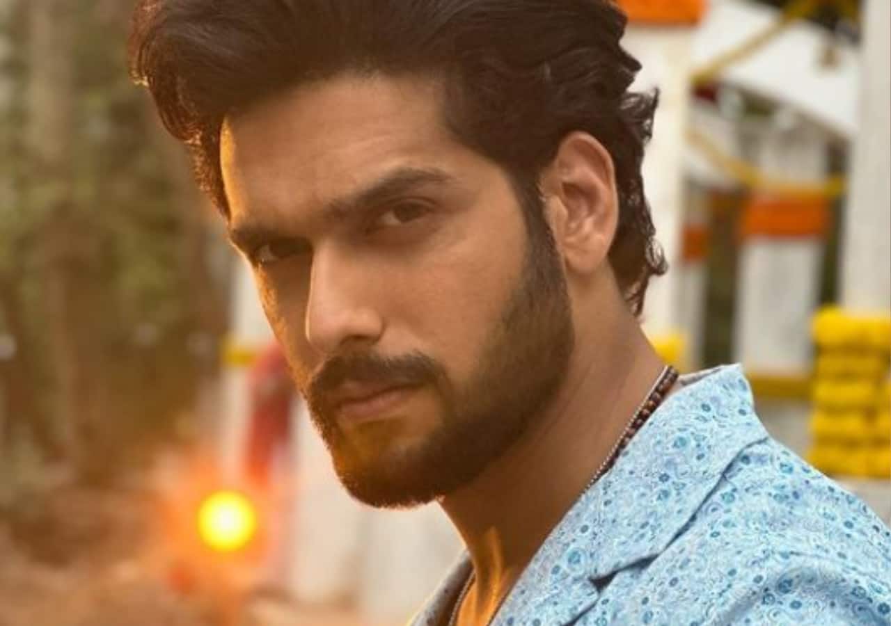 Imlie: Sai Ketan Rao perfectly decodes why TV shows today are wrapping ...