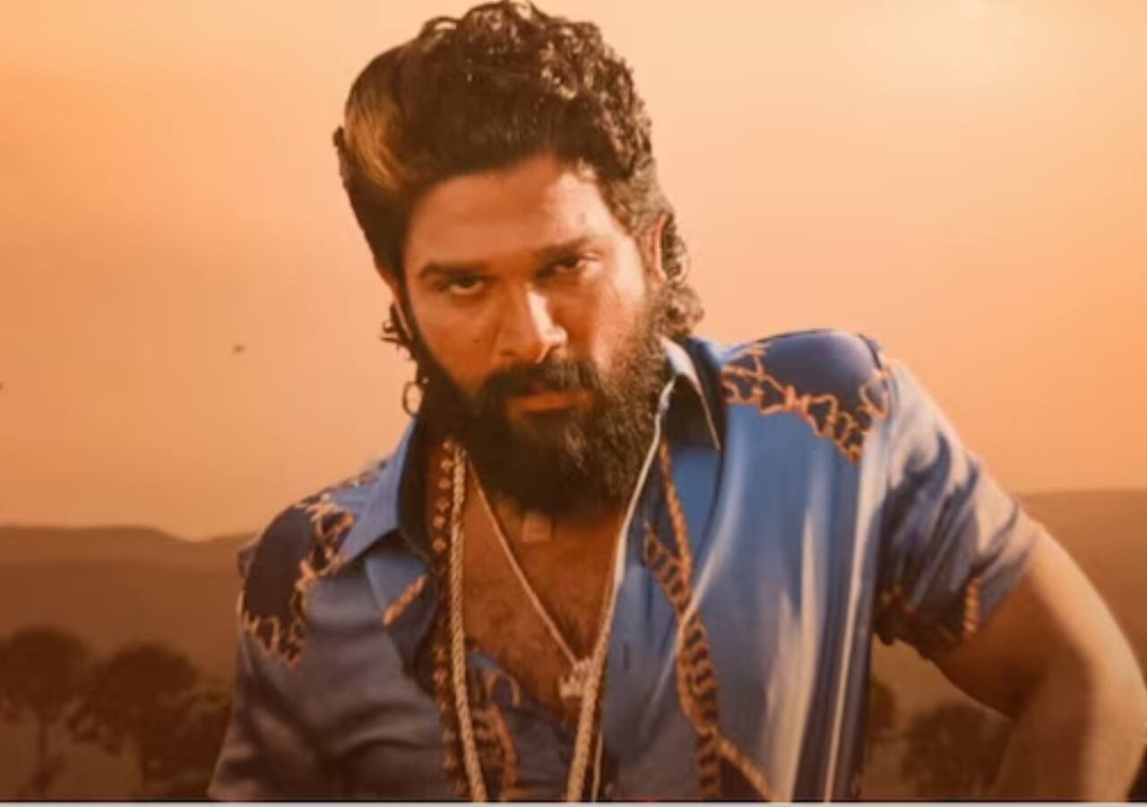 Pushpa 2: Allu Arjun's Pushpa Pushpa dance steps add to the IPL fever ...