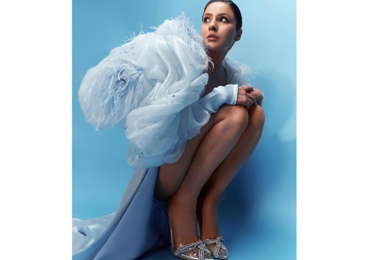 Shehnaaz Gill flaunts her super toned legs as she goes bold in her ...