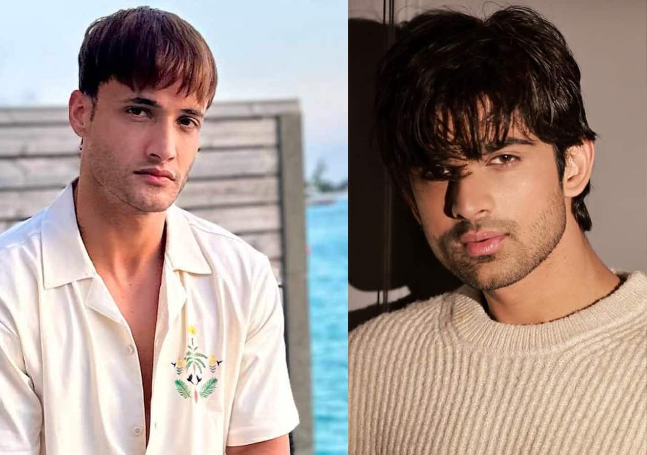 Khatron Ke Khiladi 14 Here S What Caused The Cold War Between Asim