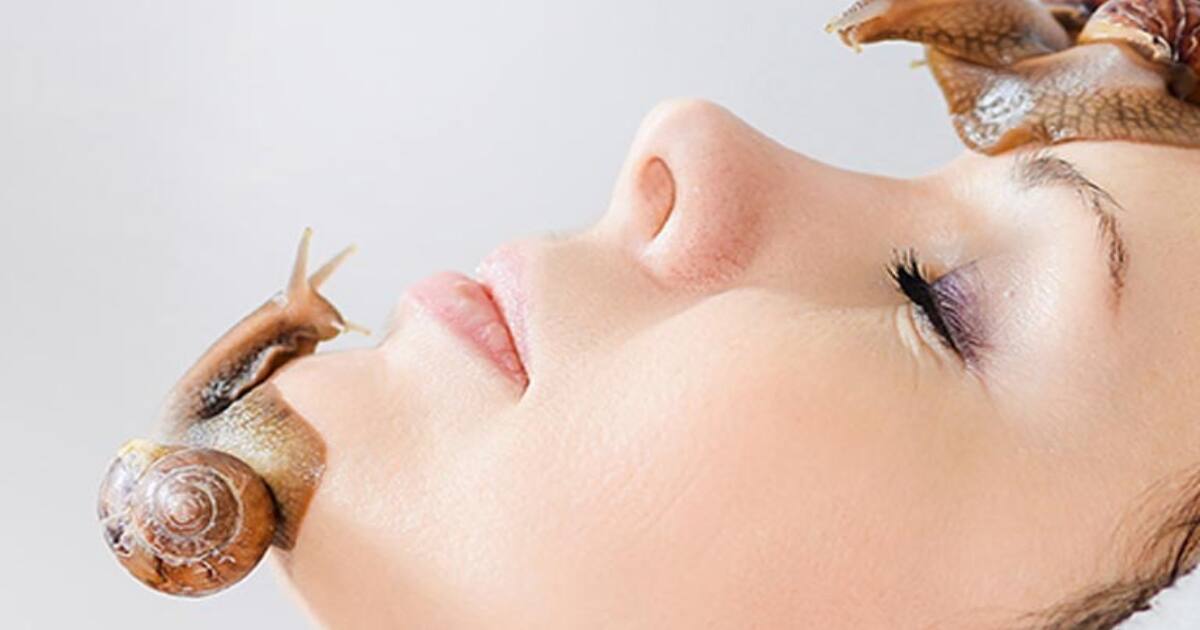 Top 8 benefits of snail facial in Korean beauty regimen