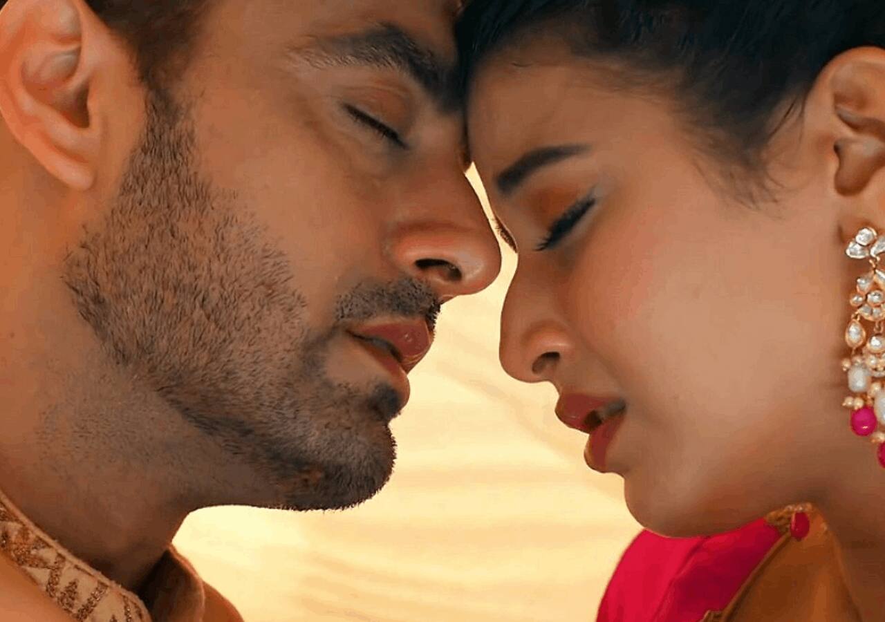 Yeh Rishta Kya Kehlata Hai serial upcoming twist: Double marriage in ...