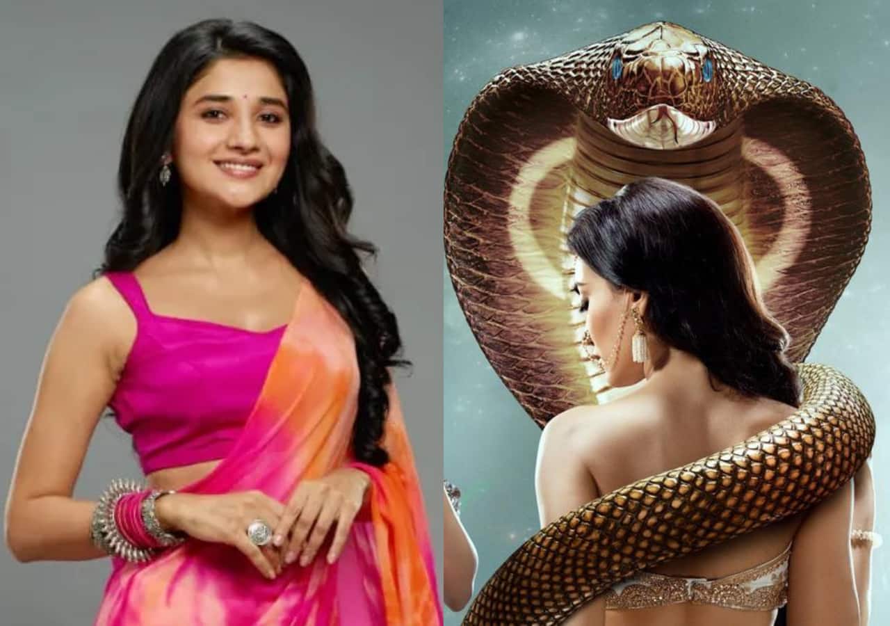 Bigg Boss 18: Kanika Mann gets confirmed? THESE Naagin actresses reject ...