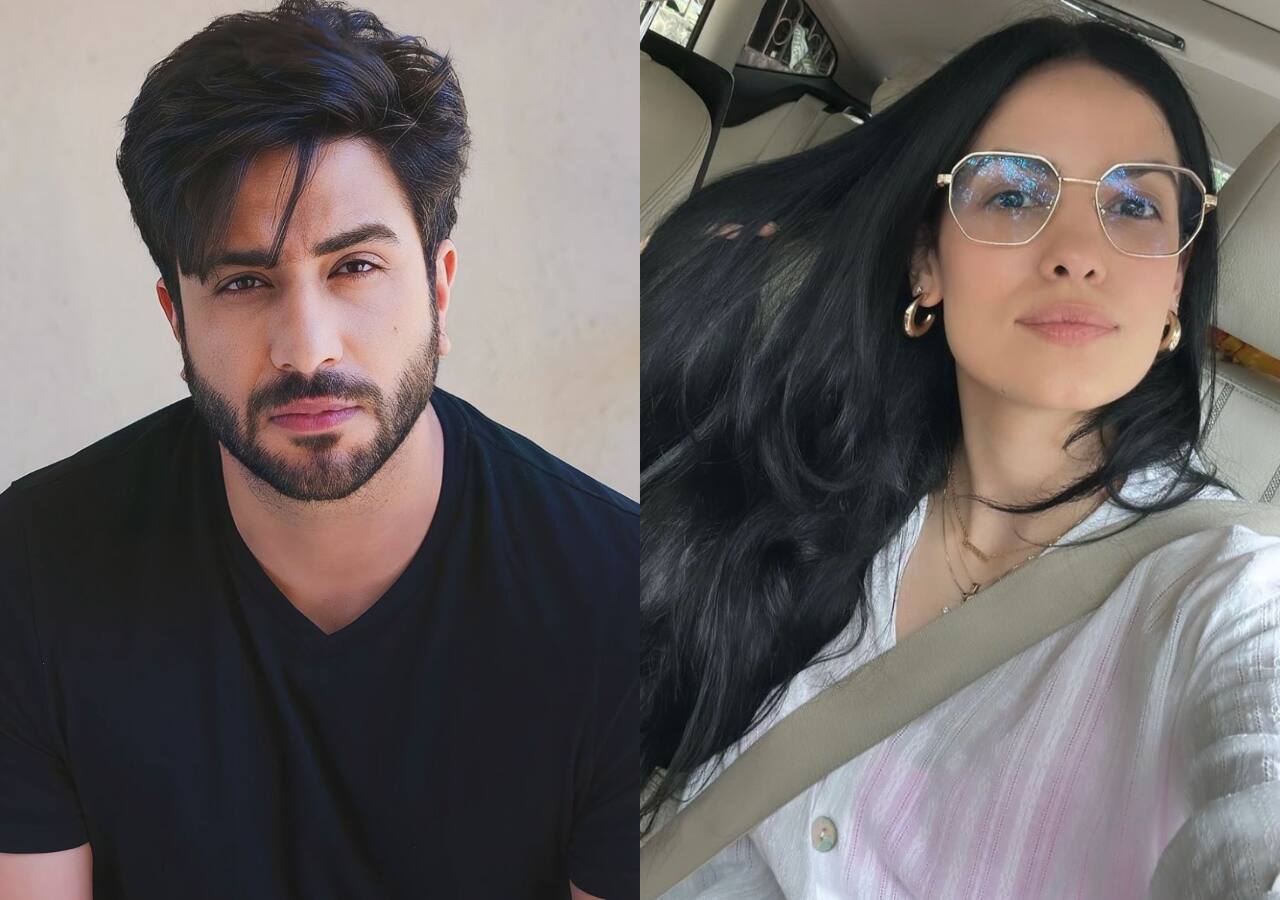 Aly Goni reveals the reason behind his breakup with his ex-girlfriend; is he hinting at Natasa ...