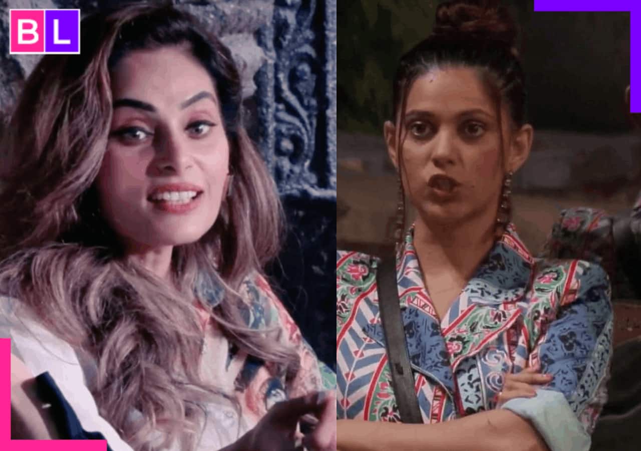 Bigg Boss 18: Alice Kaushik calls Shrutika Arjun 'stupid', vows to ruin ...