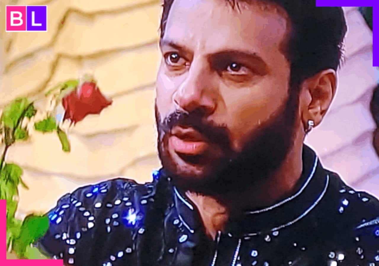 Bigg Boss 18: Karanveer Mehra raised hand on his ex-wives? Actor breaks ...