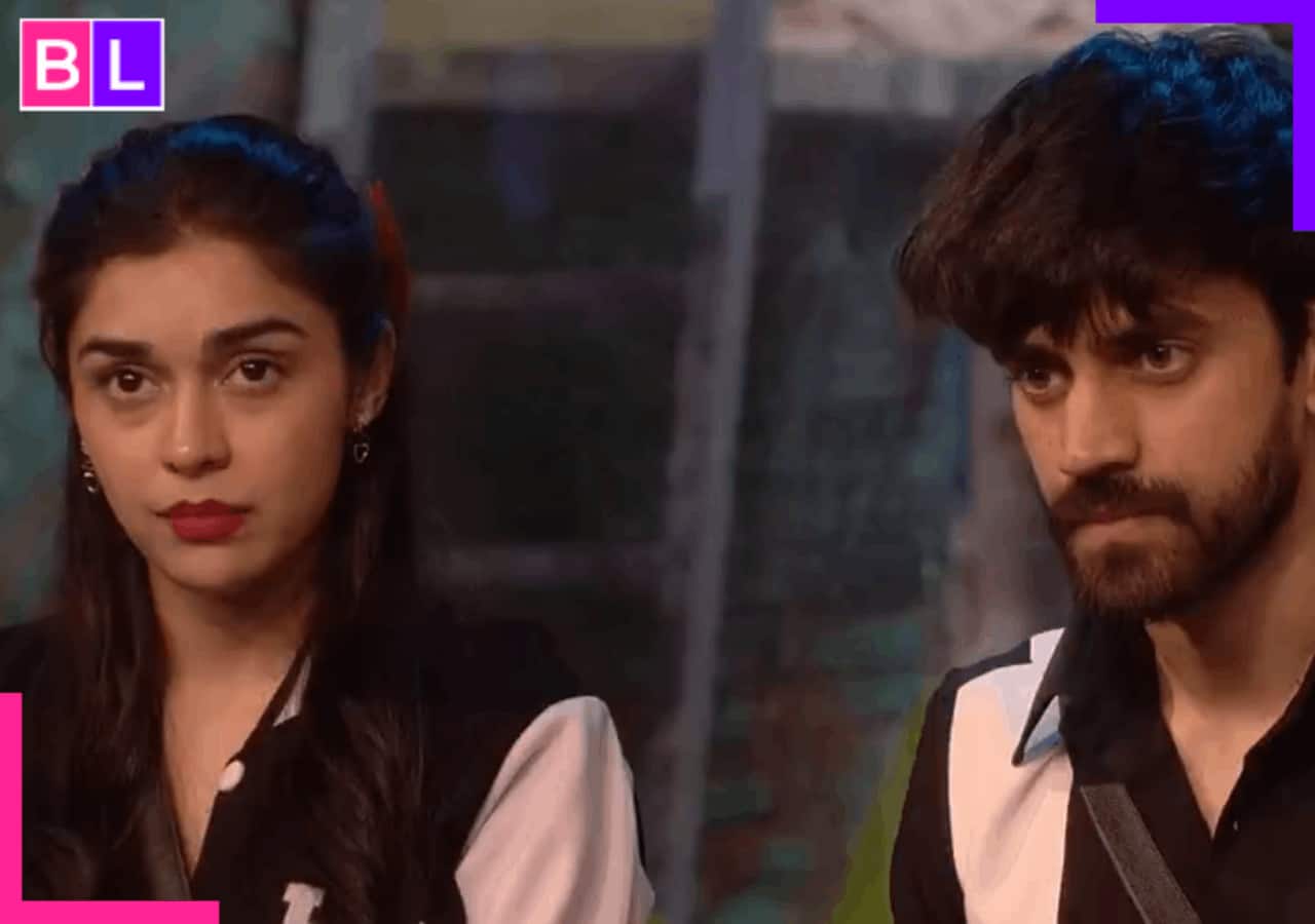 Bigg Boss 18: Avinash Mishra-Eisha Singh, Vivian Dsena-Shilpa Shirodkar ...