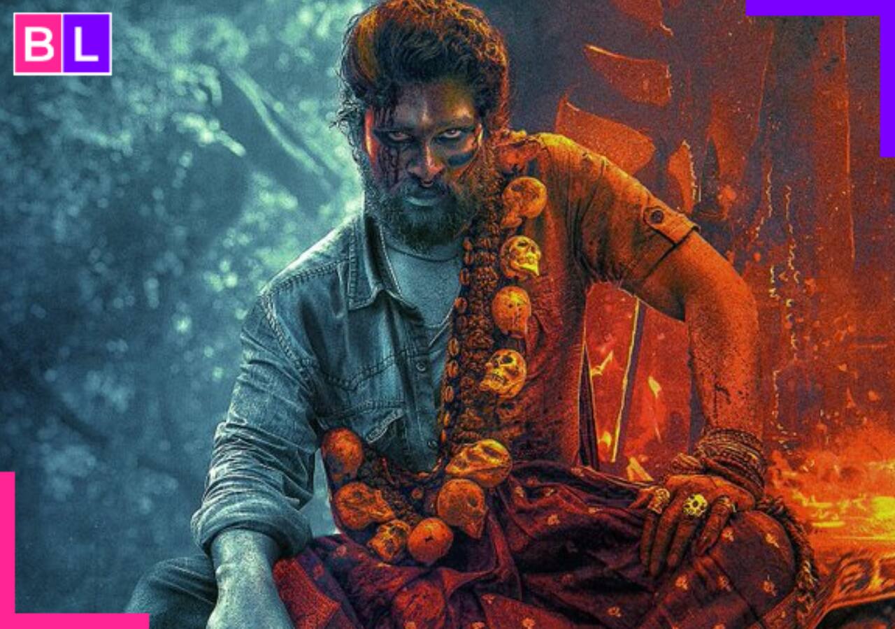 Pushpa 2 box office collection day 14: Allu Arjun's film continues to ...