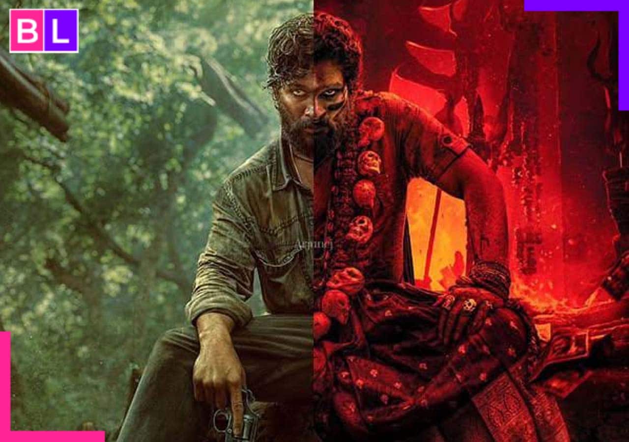 These 7 Scenes of Pushpa 2 make Allu Arjun Film Blockbuster: जानिए किन ...