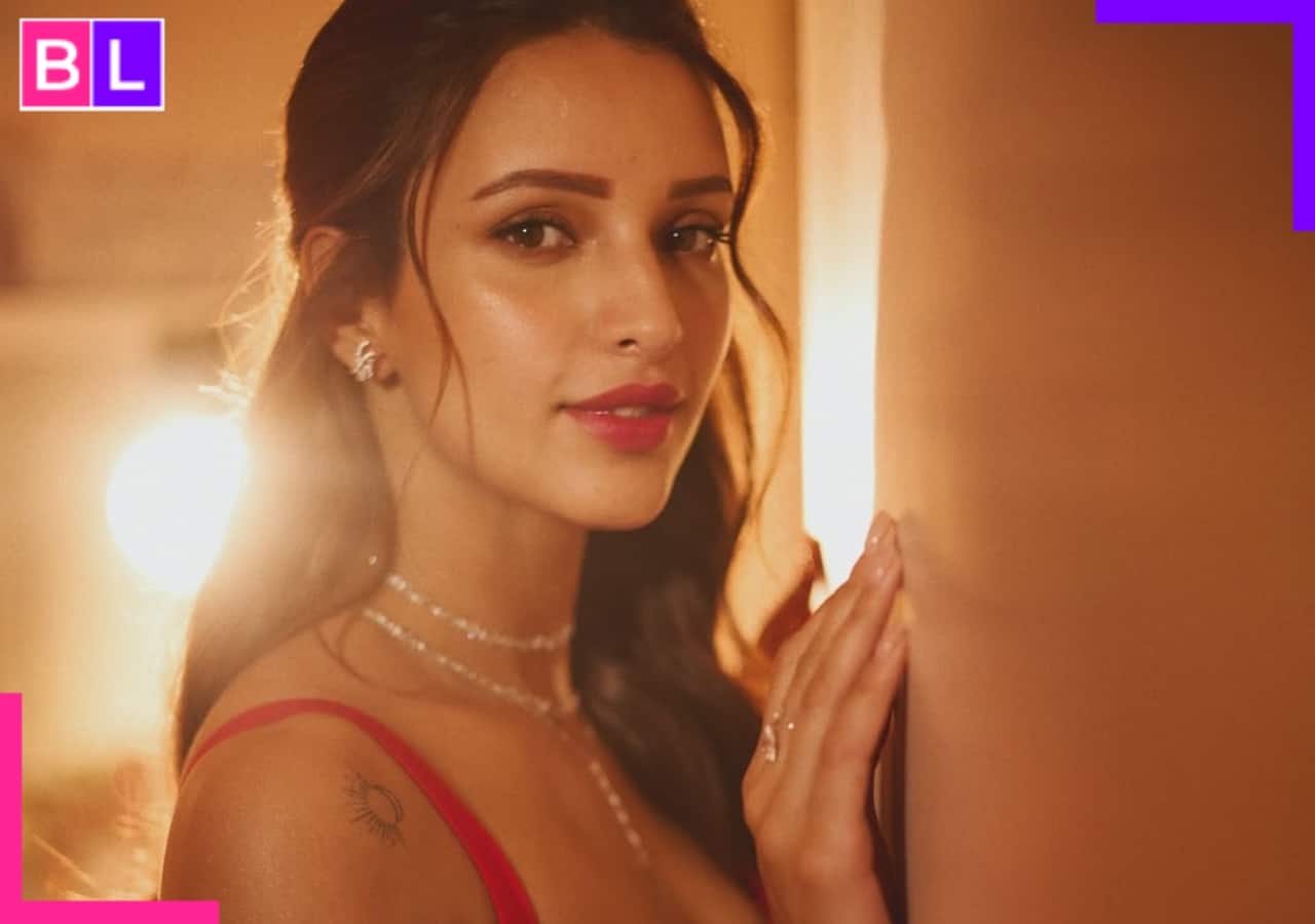 Triptii Dimri was advised NOT to do THIS movie and it's not Ranbir ...