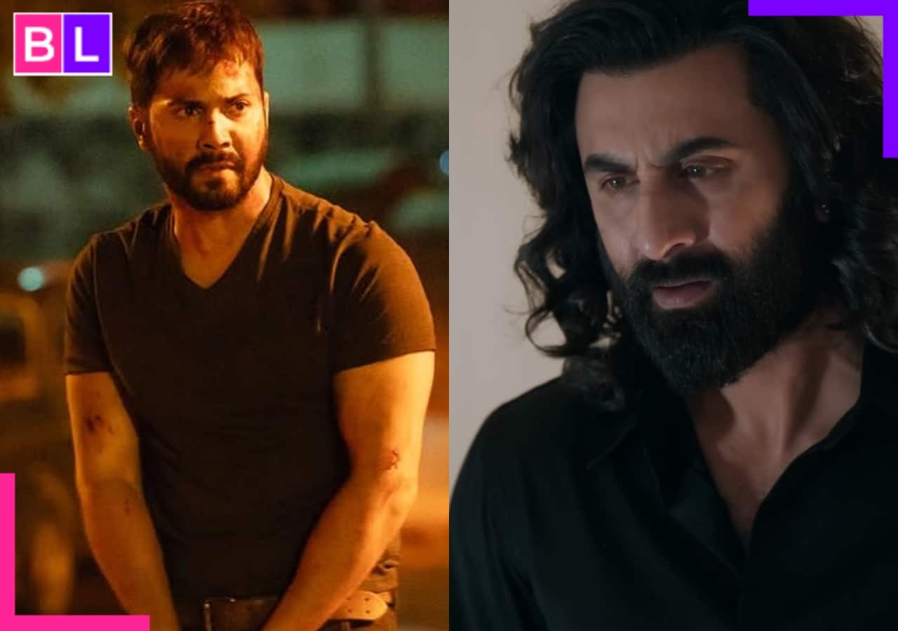 Will Varun Dhawan work in a movie like Ranbir Kapoor's Animal? Baby ...