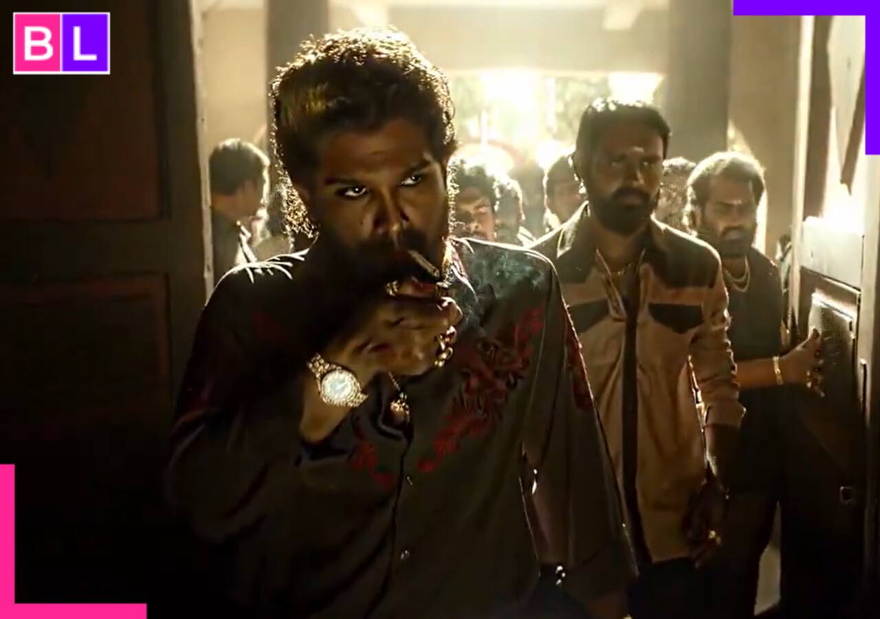 Pushpa 2 box office collection day 30: Allu Arjun’s film clocks ...