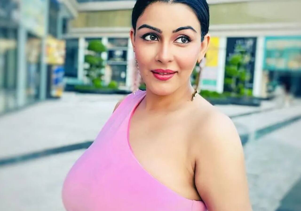 Not just Bigg Boss 18's Yamini Malhotra, THESE TV actors also faced issues finding home in Mumbai