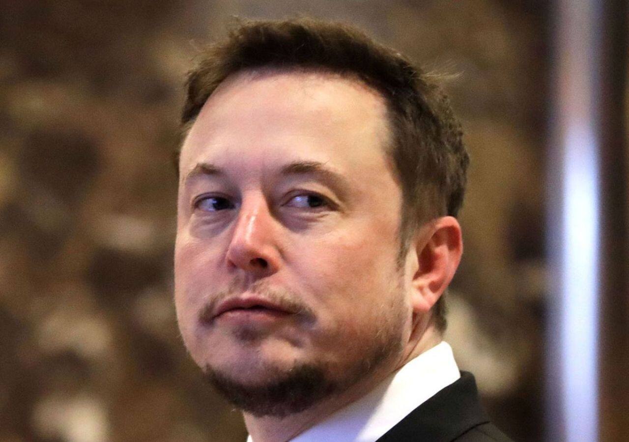 elon musk education qualification companies net worth and more